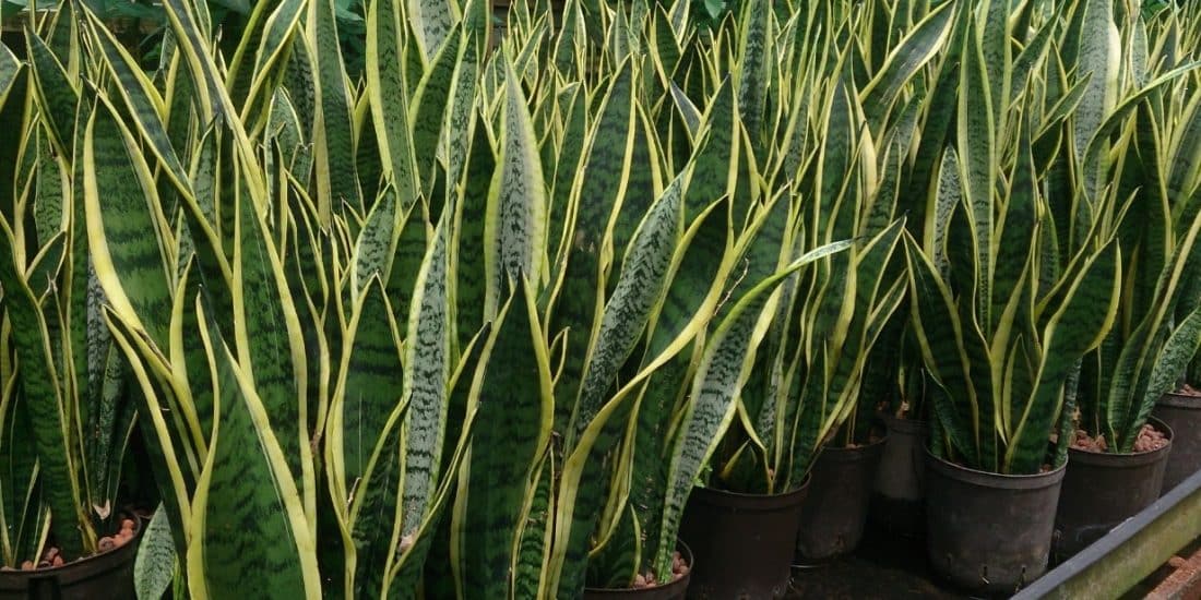 Comment peindre du textile ? - Technique Habitat